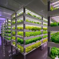 China High Humidity Vertical Farming Hydroponic Container Greenhouse For Vegetables for sale