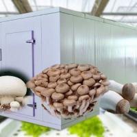 China High Humidity Vertical Farming Hydroponic Container Greenhouse For Vegetables for sale