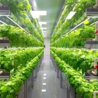 China Multi-Span Container Greenhouse for Hydroponic System and Vertical Farming Advantages for sale