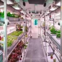 China Multi-Span Container Greenhouse for Hydroponic System and Vertical Farming Advantages for sale