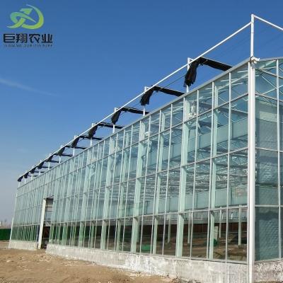 China Garden Vegetables and Flowers Arched Roof Glass Greenhouse with Hydroponics System for sale