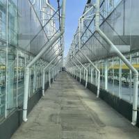 China Garden Vegetables and Flowers Arched Roof Glass Greenhouse with Hydroponics System for sale
