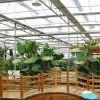 China Garden Vegetables and Flowers Arched Roof Glass Greenhouse with Hydroponics System for sale