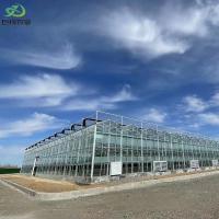 China Garden Vegetables and Flowers Arched Roof Glass Greenhouse with Hydroponics System for sale