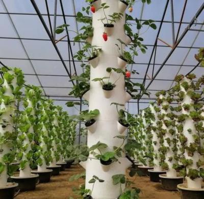 China Vertical Farming Container Greenhouse in 40HQ Reefer with Hydroponic Container for sale