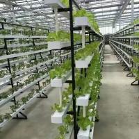 China Vertical Farming Container Greenhouse in 40HQ Reefer with Hydroponic Container for sale
