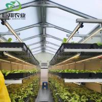 China Hydroponic Planting Multi Span Greenhouse for Vegetables/Tomato 200 Microns Film Cover for sale