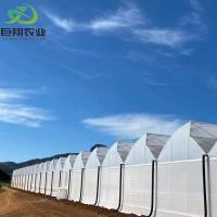 China Customized Hydroponics System in Commercial Multi Span Tunnel Plastic Film Greenhouse for sale