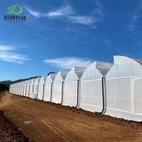 China Blueberry Grapes Commercial Greenhouse with Heat Preservation Quilt and Heating System for sale