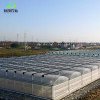 China Blueberry Grapes Commercial Greenhouse with Heat Preservation Quilt and Heating System for sale
