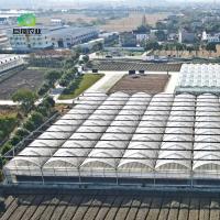 China Hydroponic Cultivation Greenhouse Covered with Plastic Sheet and Single Span Design for sale