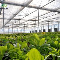 China Hydroponic Cultivation Greenhouse Covered with Plastic Sheet and Single Span Design for sale