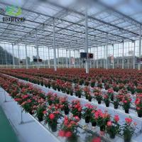 China Customization Juxiang Greenhouse's Customizable Commercial Film and Glass Greenhouse for sale