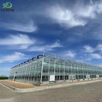 China Customization Juxiang Greenhouse's Customizable Commercial Film and Glass Greenhouse for sale