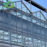 China Customization Juxiang Greenhouse's Customizable Commercial Film and Glass Greenhouse for sale