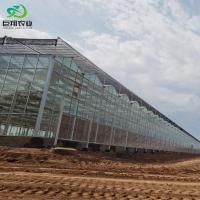 China Customization Juxiang Greenhouse's Customizable Commercial Film and Glass Greenhouse for sale