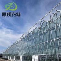 China Customization Juxiang Greenhouse's Customizable Commercial Film and Glass Greenhouse for sale