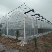 China Juxiang Agricultural Nft Hydroponic Film Greenhouse for Vegetable Cultivation System for sale