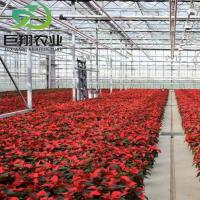 China Juxiang Agricultural Nft Hydroponic Film Greenhouse for Vegetable Cultivation System for sale
