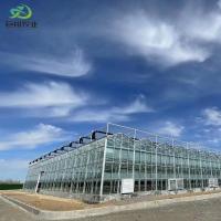 China US Currency Juxiang Agricultural Nft Hydroponics System Glass Greenhouse for Vegetable for sale