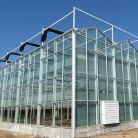 China US Currency Juxiang Agricultural Nft Hydroponics System Glass Greenhouse for Vegetable for sale