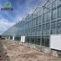 China US Currency Juxiang Agricultural Nft Hydroponics System Glass Greenhouse for Vegetable for sale