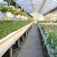 China Multi-Span Hydroponic System for Farm Film Greenhouse Package Gross Weight 2000.000kg for sale
