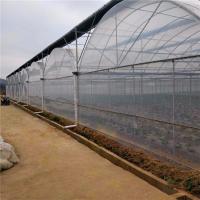 China Multi-Span Hydroponic System for Farm Film Greenhouse Package Gross Weight 2000.000kg for sale