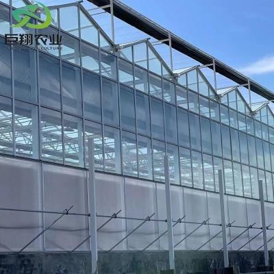 China Customized Film Thickness Arched Roof Venlo Greenhouse for Hydroponic Vegetables Planting for sale