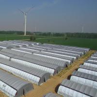 China Multi-Span Hydroponic System for Farm Film Greenhouse Package Gross Weight 2000.000kg for sale