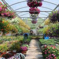 China Multi-Span Hydroponic System for Farm Film Greenhouse Package Gross Weight 2000.000kg for sale