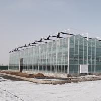 China Semi-Closed Glass Greenhouse for Agricultural Farming in Tunnel Cultivation Method for sale
