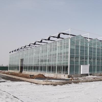 China Semi-Closed Glass Greenhouse for Agricultural Farming in Tunnel Cultivation Method for sale