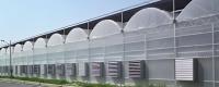 China Double Layer Tomato Cucumber Peper Flowers Greenhouse with and Temporary Heating for sale