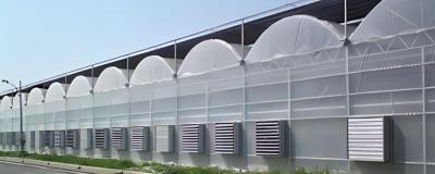 China Double Layer Tomato Cucumber Peper Flowers Greenhouse with and Temporary Heating for sale