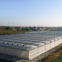 China Double Layer Tomato Cucumber Peper Flowers Greenhouse with and Temporary Heating for sale