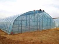 China Juxiang Hydroponic Farm Film Greenhouse with Steel Structure and 30-day Return refunds for sale