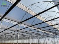 China Juxiang Hydroponic Farm Film Greenhouse with Steel Structure and 30-day Return refunds for sale