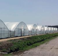 China 30-Day Return Guarantee Anti-Drip Fogging Double-Film Greenhouse Structure jx-fg-001 for sale