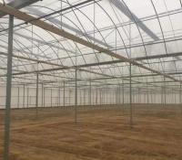 China 30-Day Return Guarantee Anti-Drip Fogging Double-Film Greenhouse Structure jx-fg-001 for sale