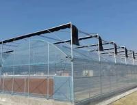 China 30-Day Return Guarantee Anti-Drip Fogging Double-Film Greenhouse Structure jx-fg-001 for sale