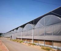 China 30-Day Return Guarantee Anti-Drip Fogging Double-Film Greenhouse Structure jx-fg-001 for sale