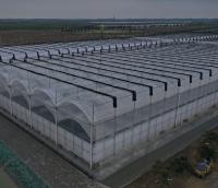 China 30-Day Return Guarantee Anti-Drip Fogging Double-Film Greenhouse Structure jx-fg-001 for sale