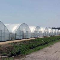 China Seedling Cultivation Juxiang Hydroponic Farm Film Greenhouse with Customized Request for sale