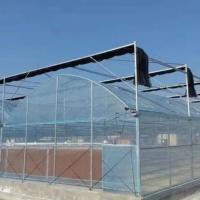 China Seedling Cultivation Juxiang Hydroponic Farm Film Greenhouse with Customized Request for sale