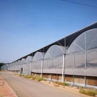 China Seedling Cultivation Juxiang Hydroponic Farm Film Greenhouse with Customized Request for sale
