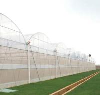 China Seedling Cultivation Juxiang Hydroponic Farm Film Greenhouse with Customized Request for sale