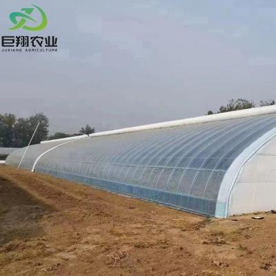 China Hot-DIP Galvanized Steel Pipe Agricultural Film Hydropoinics Greenhouses Building Material for sale