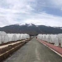 China Hot-DIP Galvanized Steel Pipe Agricultural Film Hydropoinics Greenhouses Building Material for sale