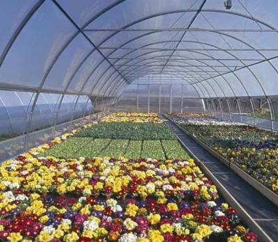 China Anti-Drip Fogging Film Greenhouse for Flowers Temporary Heating Method Included for sale